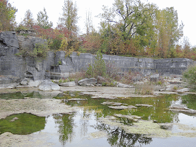 Chazy Reef - Part II ~ Hudson Valley Geologist
