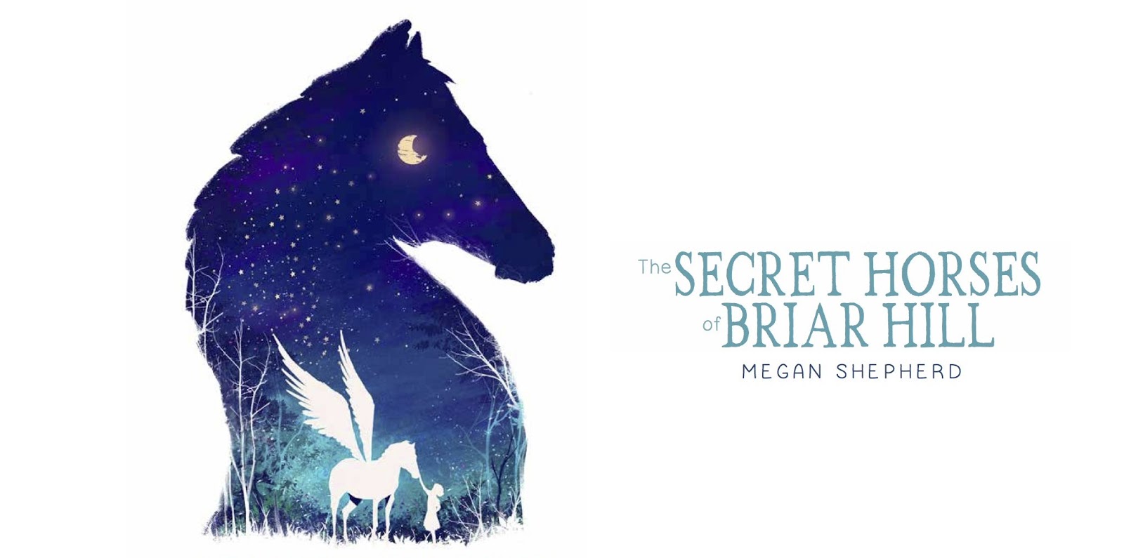 Conheça "The Secret Horses of Briar Hill" novo livro de Megan Shepherd ...