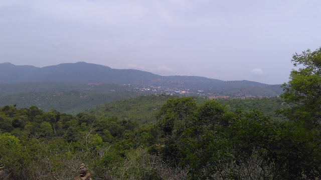 Male Mahadeshwara betta (MM.Hills)