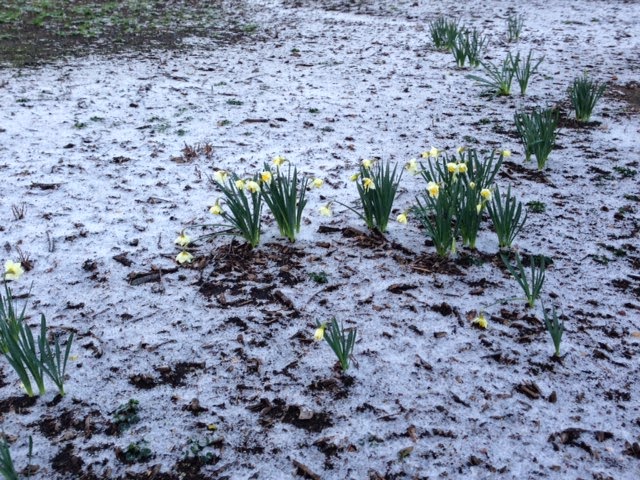 EV Grieve: Spring backward