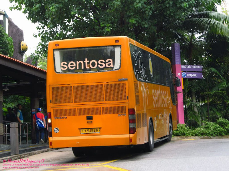 (buses[IN]gapore!): Sentosa buses' new livery!