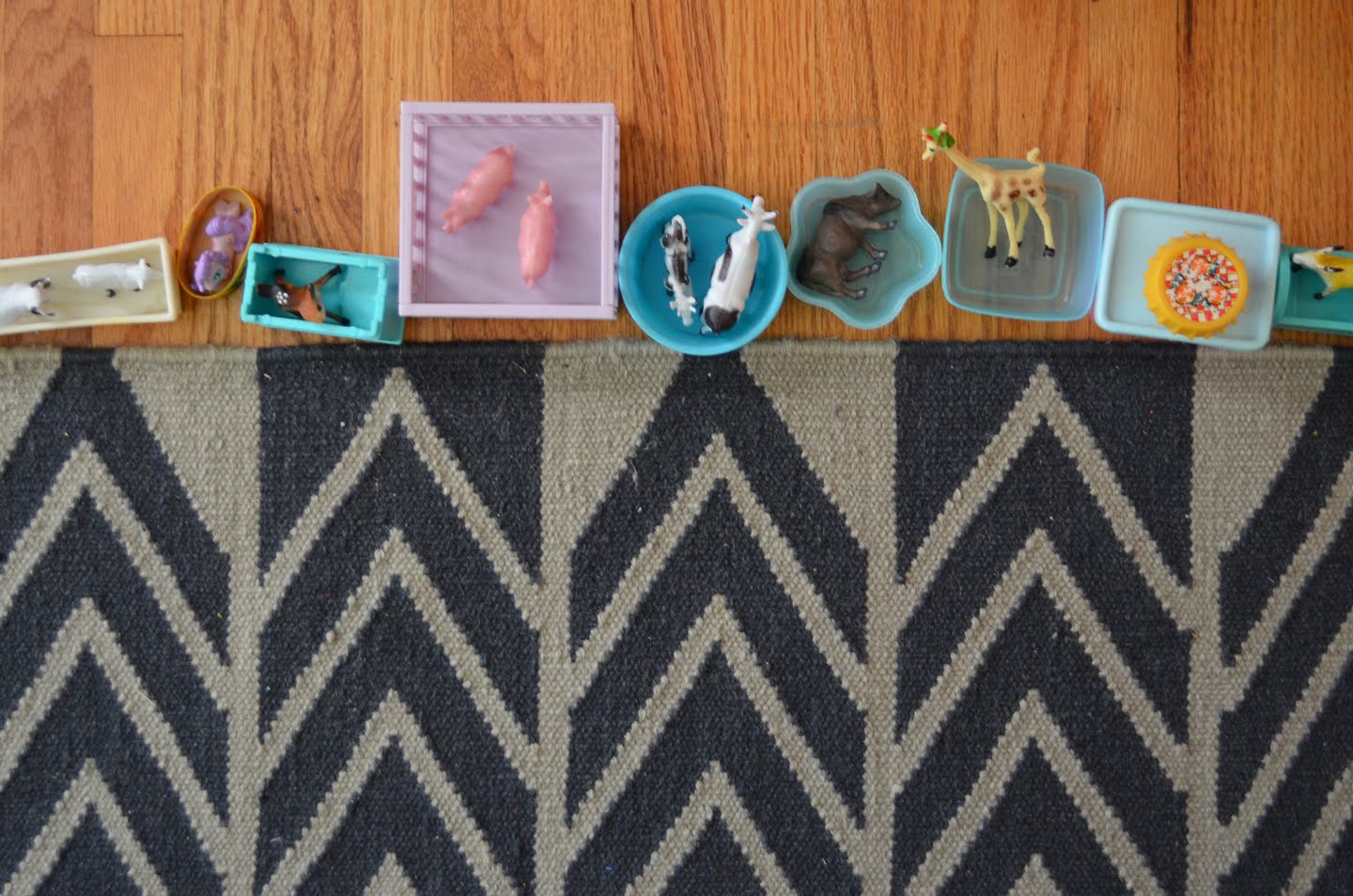 --bunnytails + gulls--