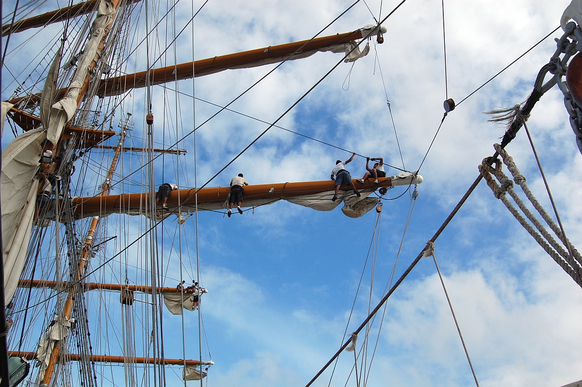 HISTORIAS VEROSÍMILES...O NO?: UNA COFA ES UNA COFA... Y OTRA COSA ES ...