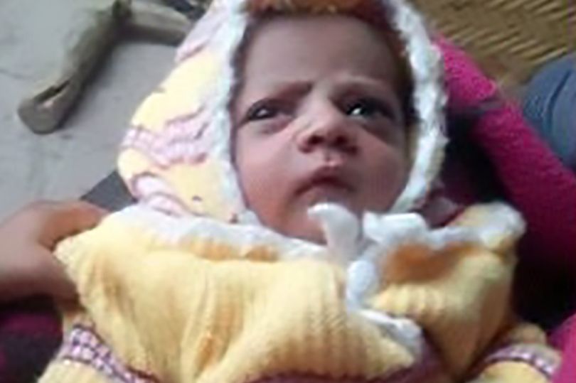 Twelve Day Old Baby Killed By Monkey After Being Snatched From twelve-day-old-baby-killed-by-monkey-after-being-snatched-from