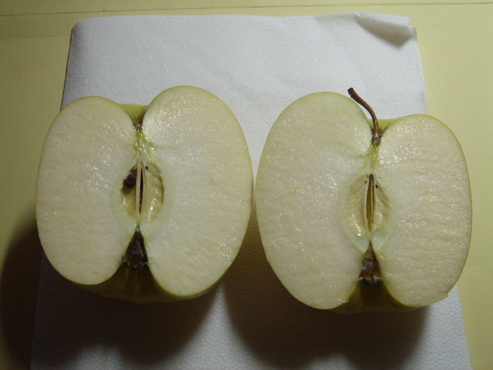 BLOG CLOROFILA: Fruto: Pomo.