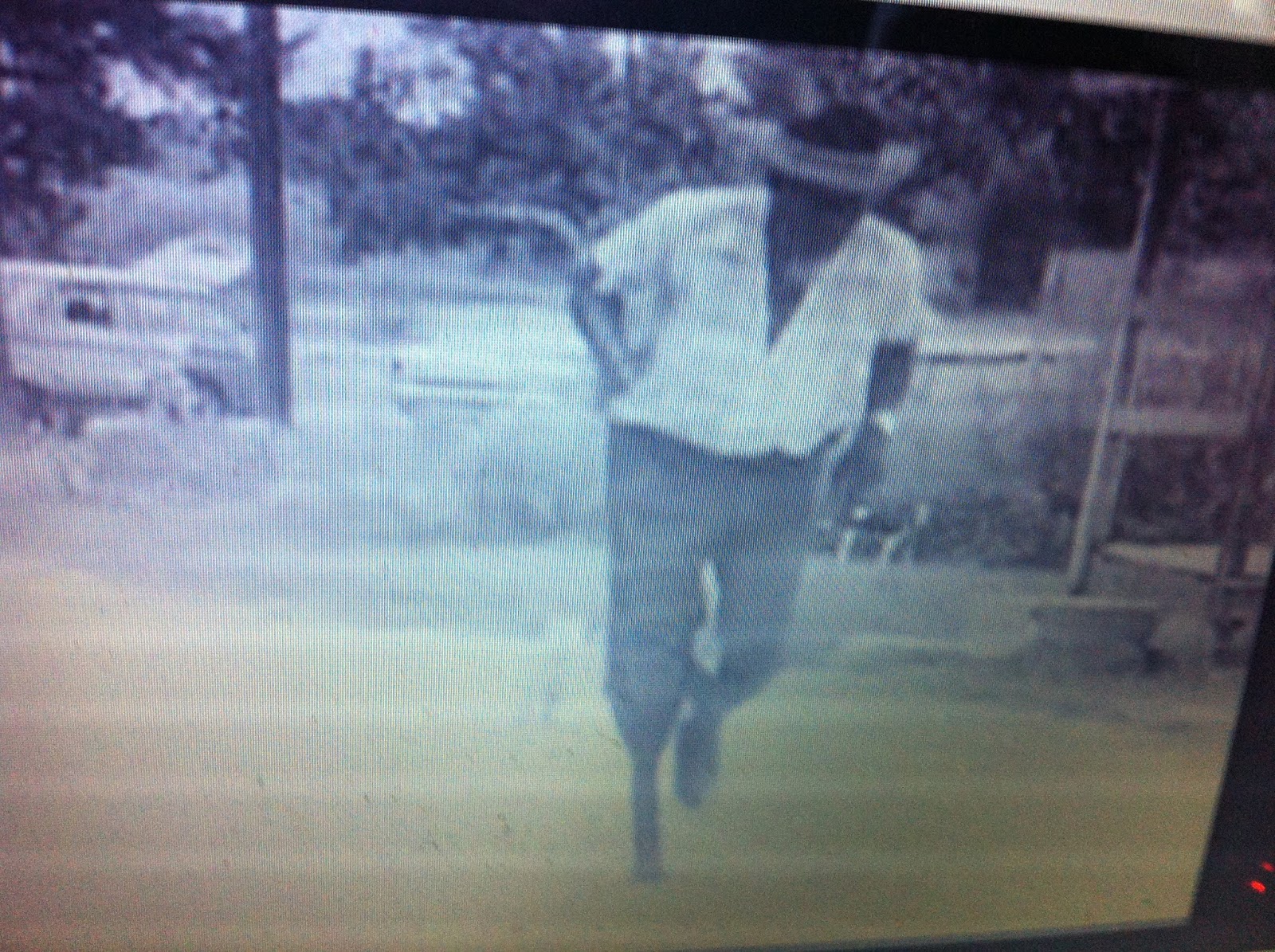 THE BLACK SOCIAL HISTORY:: BLACK SOCIAL HISTORY - AFRICAN AMERICAN ...