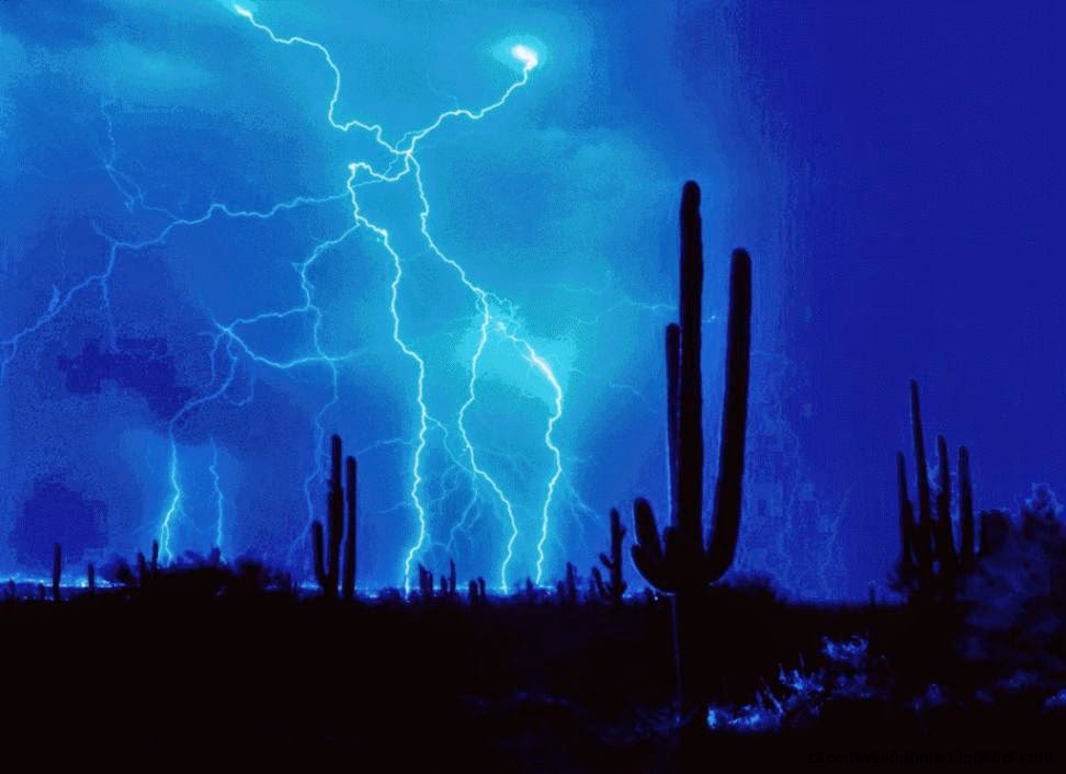 Free moving zoom backgrounds - gesermj