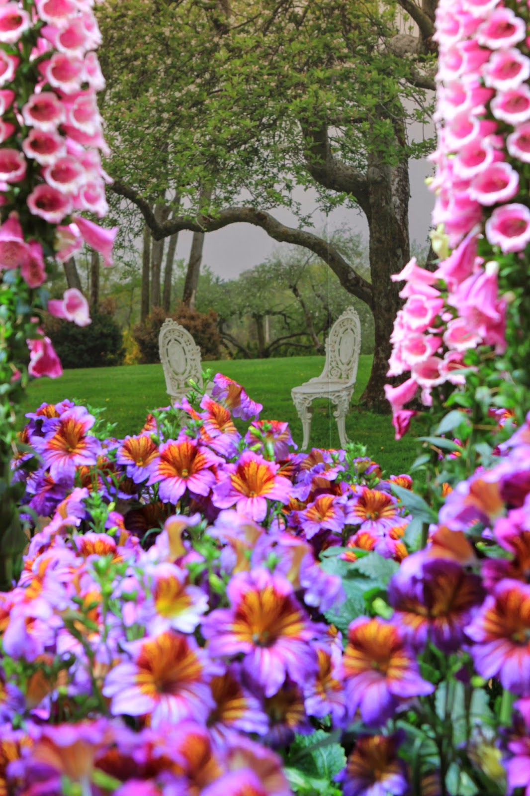 Romancing the Home: Chicago Botanic Gardens Digital Photography Classes