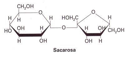 Molecularmente: Sacarosa