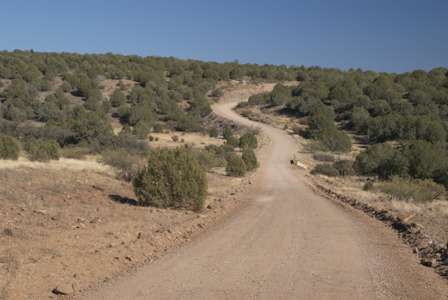 Red Rock World: Coconino 250