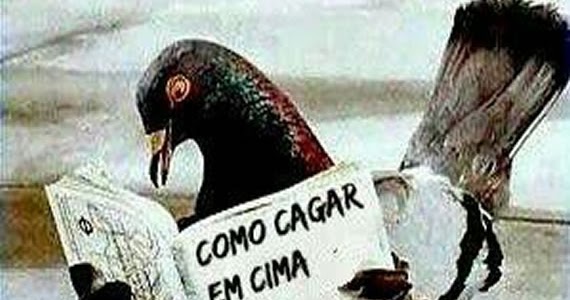 HMD quero ver mais - O melhor do humor na internet: Seja simples como ...