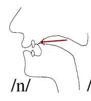Nasal sounds /m/, /n/and/ᶇ/