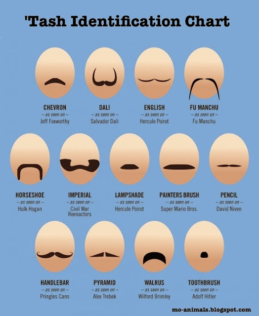 mo-animals: Moustache styles: handy identification chart