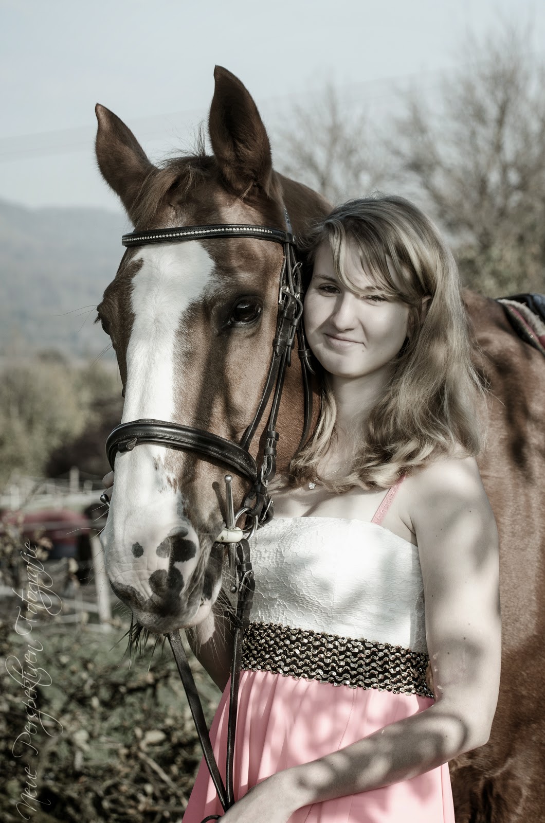 Neue Perspektiven - Mein Weg in eine fotografische Zukunft: Reiterin ...