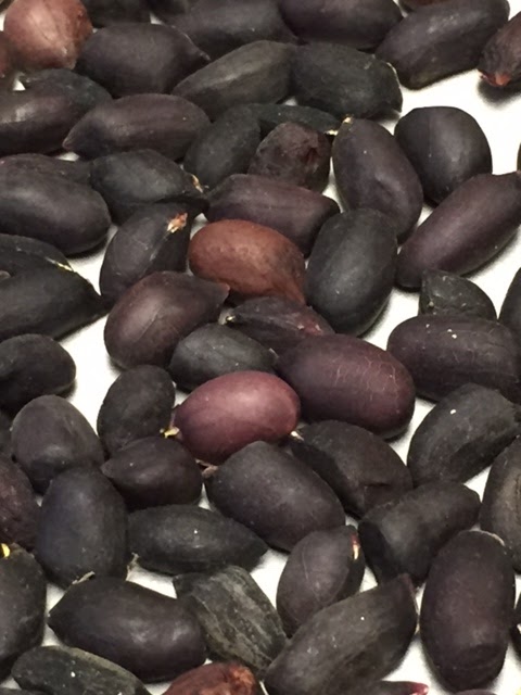 Heart and Sole Food: Pass the Black Peanuts