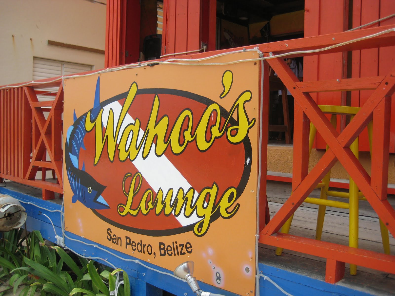 Thursday Night at the Chicken Drop | San Pedro Scoop