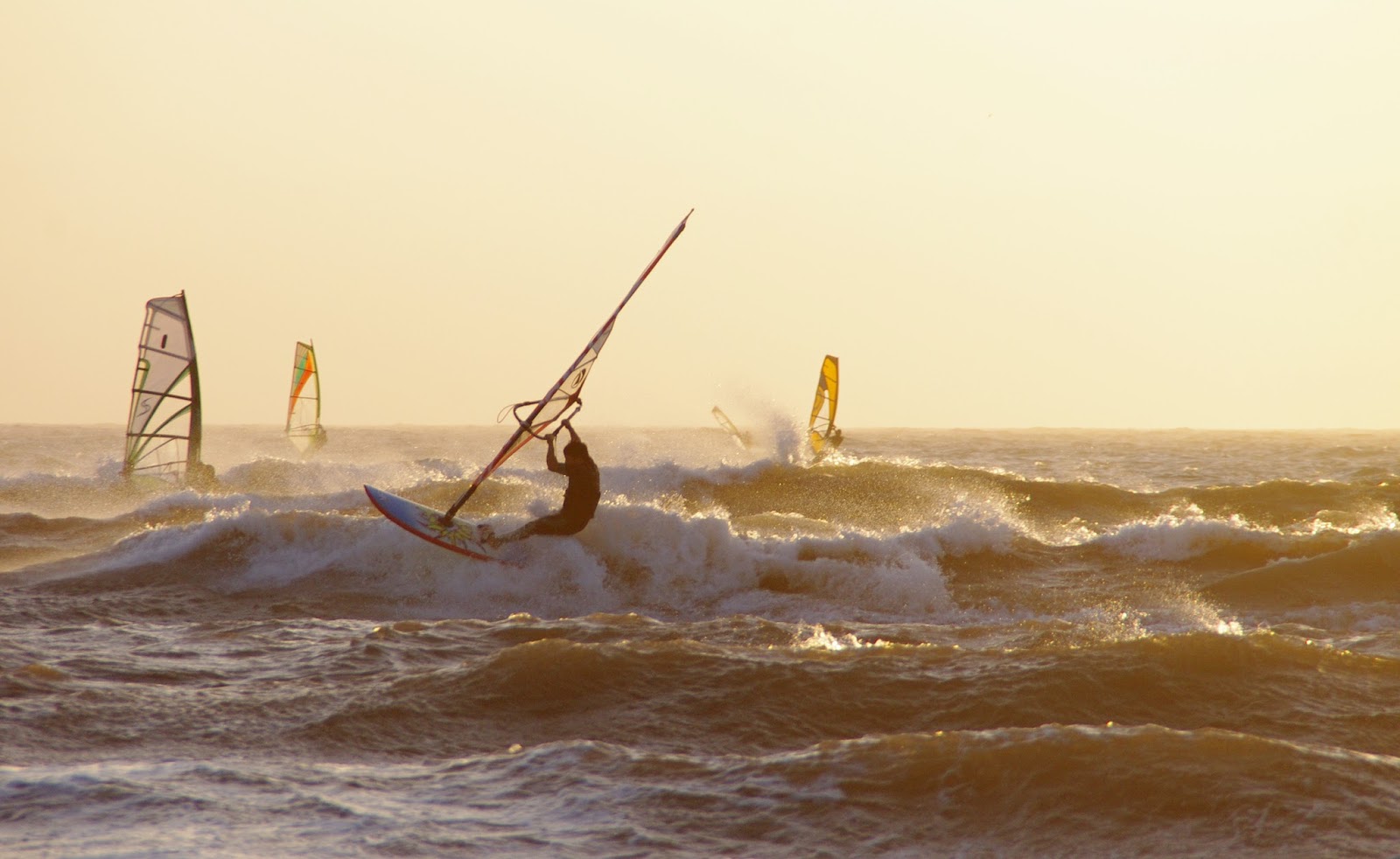 centauros del espumón: 2016