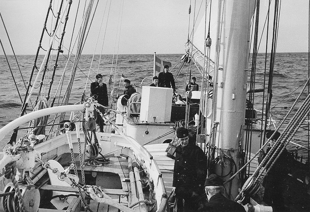 Flottans glada gossar! | Högrelius funderingar!