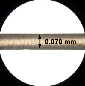 Reports from the lab: Biology: Measuring tiny things