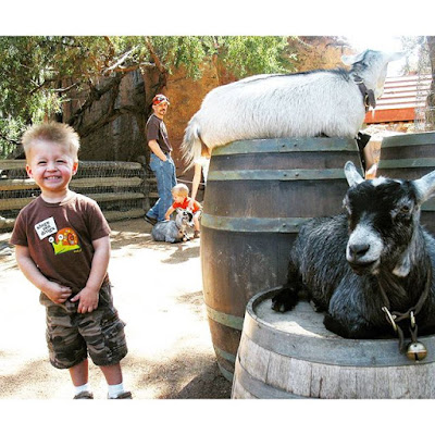 Funky Polkadot Giraffe: TOO Cute Tuesday: Linky Par-Tay! #268