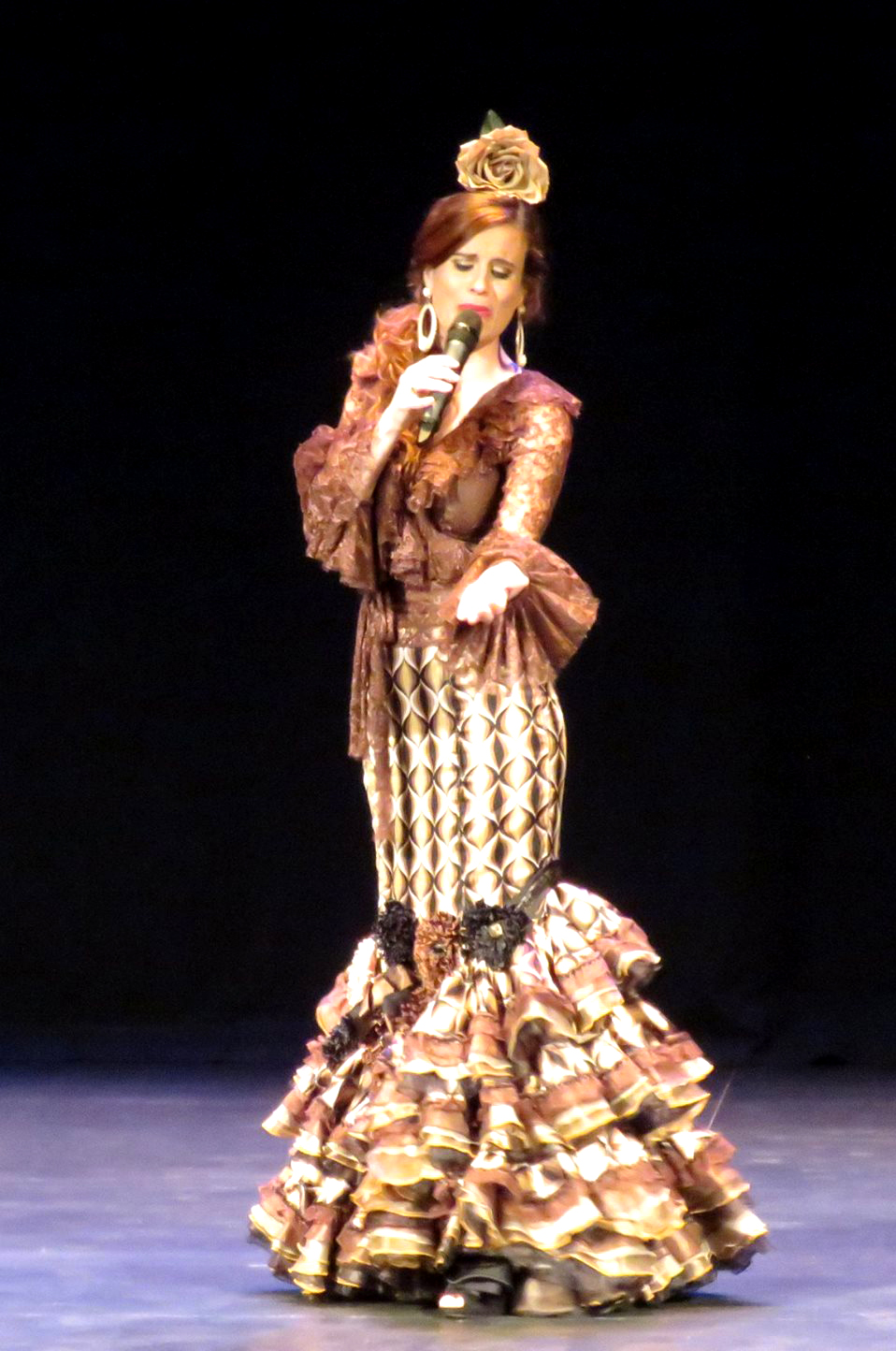 Manzanares en Imágenes: Más de cuatrocientas personas asistieron en la ...