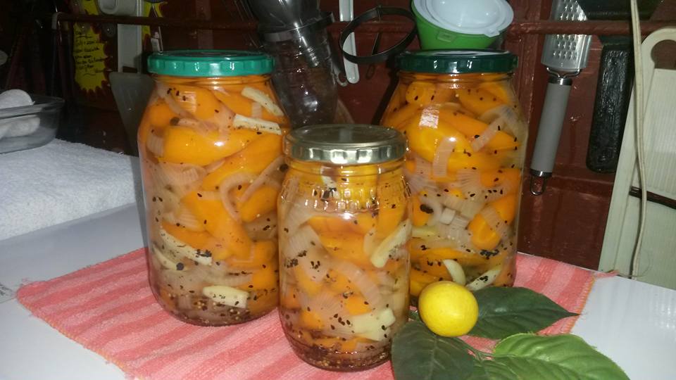 LEKKER RESEPTE VIR DIE JONGERGESLAG: March 2016