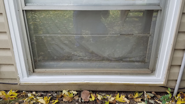 Basement Window Sill Replacement - Steve's DIY Shack