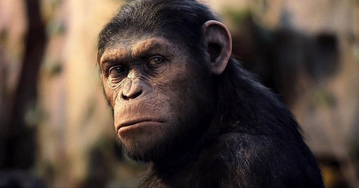 Sentient Developments: “Careful. Human no like smart ape.” Review of ...