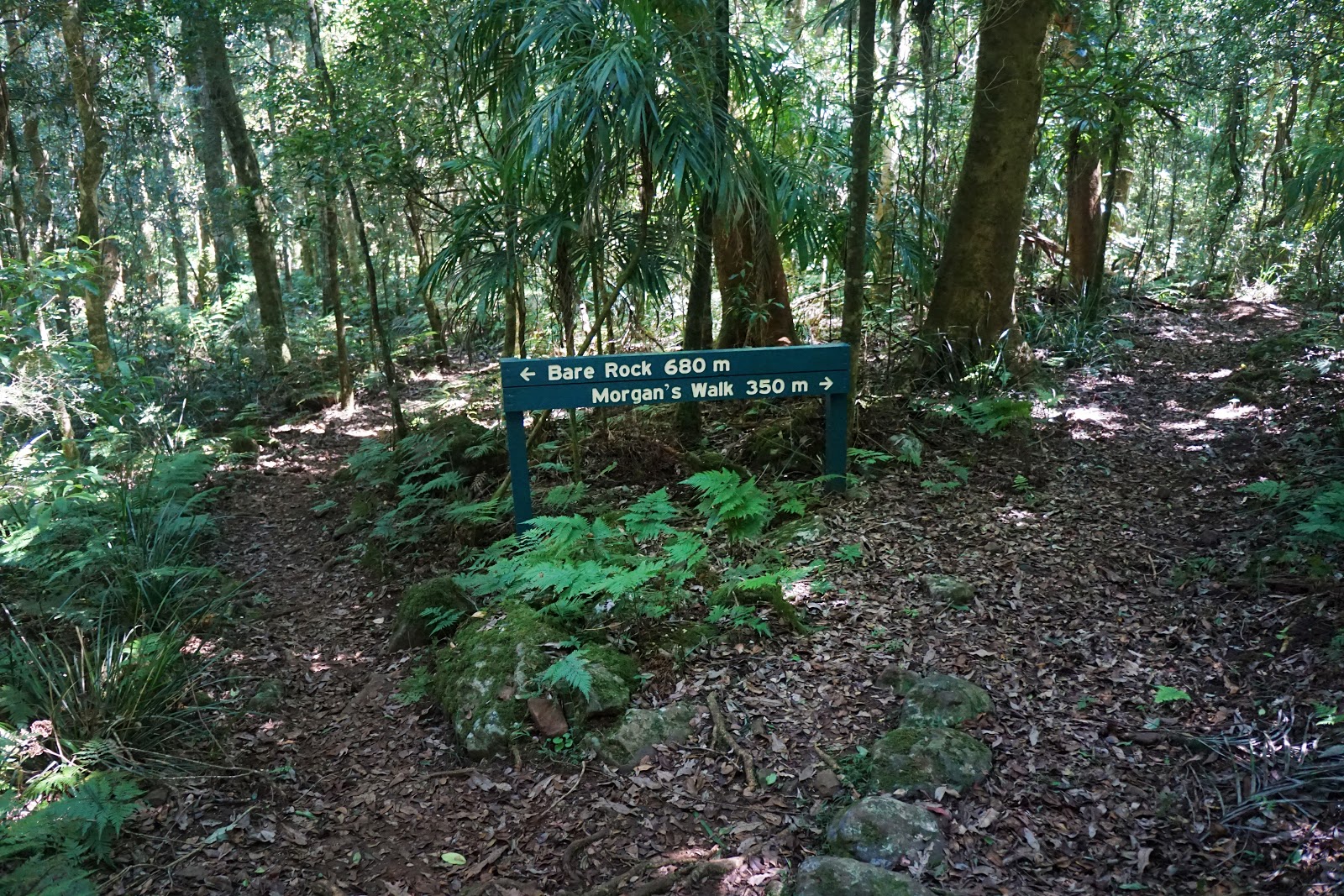Mt Cordeaux and Bare Rock (Main Range National Park) ~ The Long Way's ...