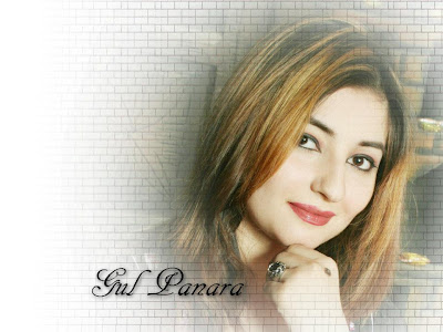 Pakistani Celebrities: Gul Panra Beautiful Pashtu actress/singer photos ...