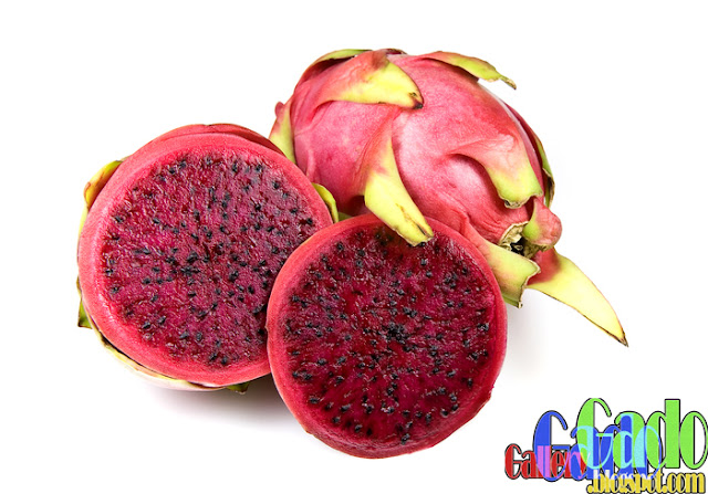Manfaat Buah Naga Merah | Gallery Gado-Gado