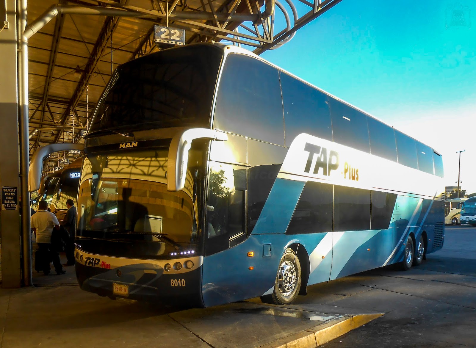 Transportes y Autobuses del Pacífico: TAP Plus - Bus-México