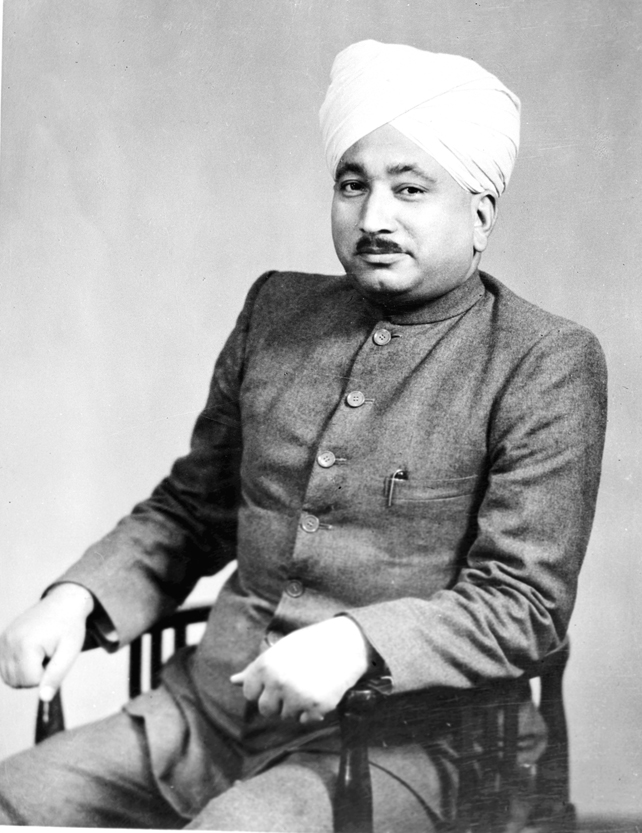 CHINAR SHADE : January 2016