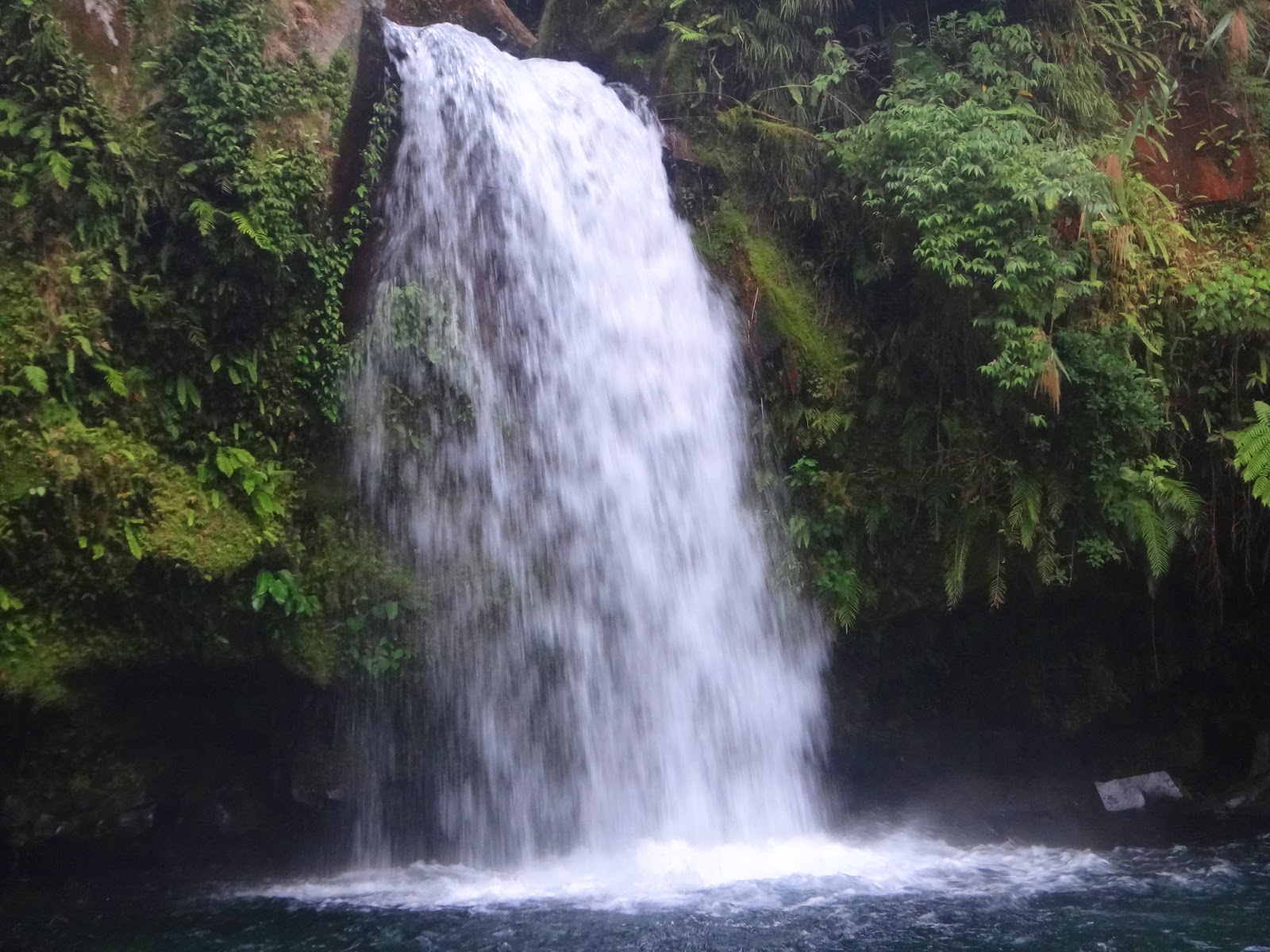 Our WANDERful JouRnEy!: Remarkably attractive Majayjay falls