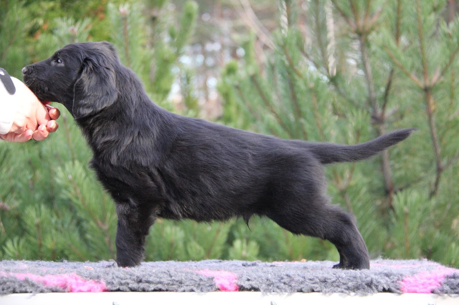 jupezku.blogspot.fi: helmikuuta 2015