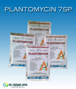 PENGENDALIAN VIRUS DAN PENYAKIT PADA TANAMAN CABAI DENGAN MENGGUNAKAN ...