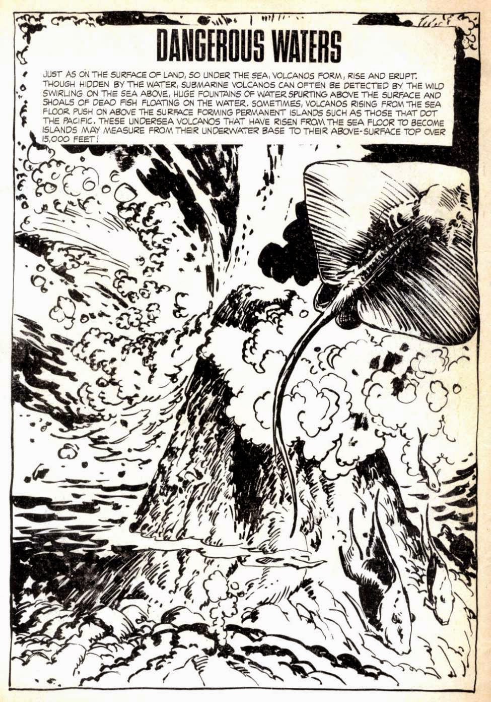 BEACH BUM COMICS : THE PERILOUS UNDERSEA ADVENTURES OF DELL COMICS ...