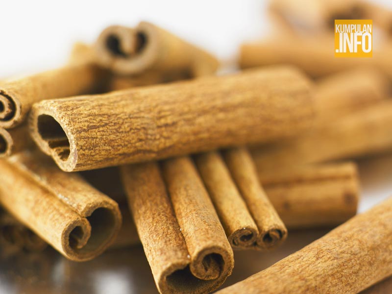 Simplisia Kayu Manis: Manfaat Secara Umum