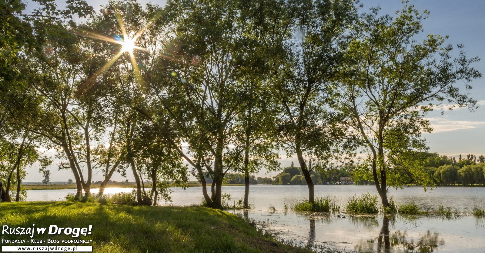 Co warto zobaczyć w Pińczowie? Subiektywny przewodnik po mieście