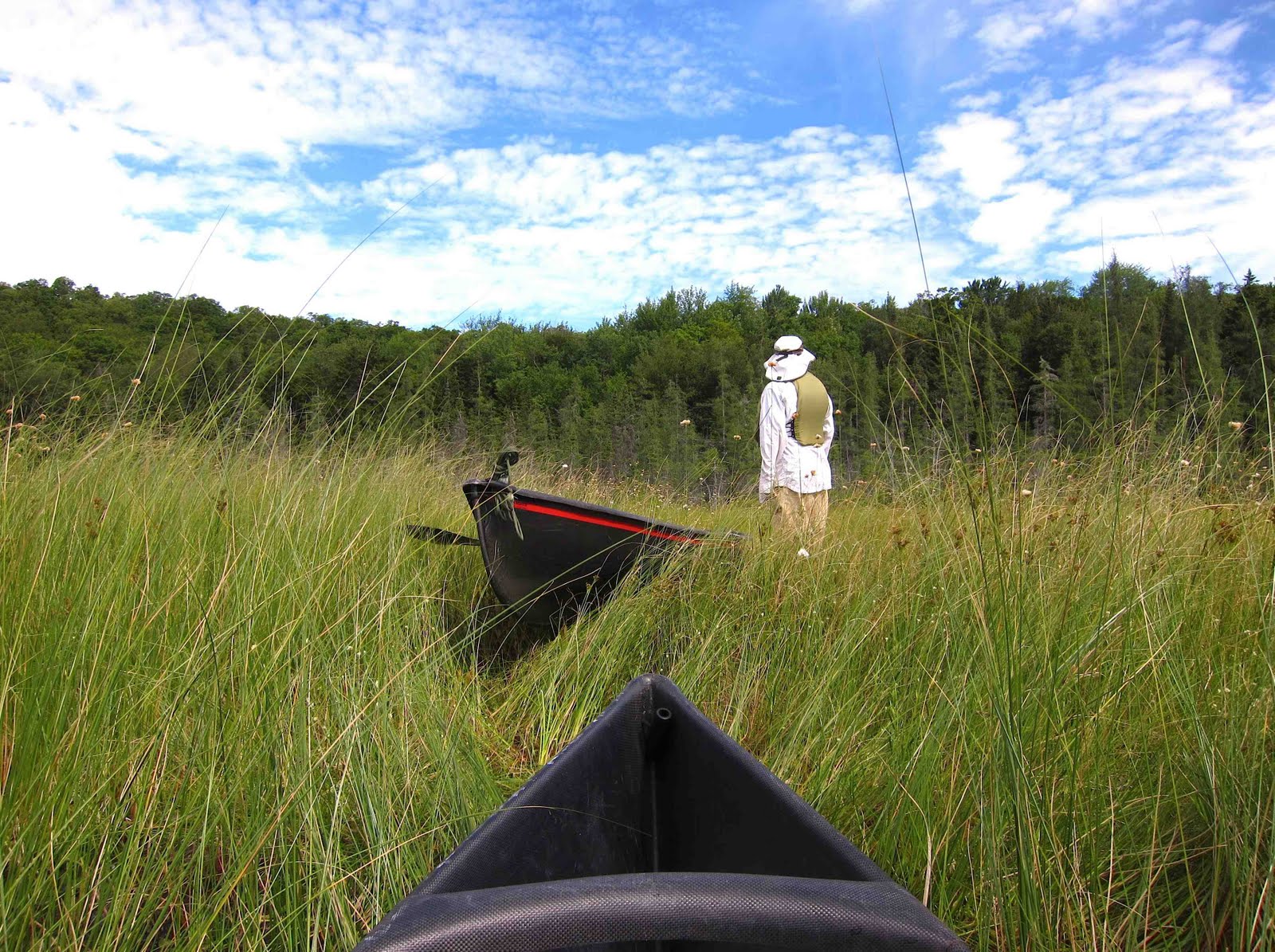 Saratoga woods and waterways: Boghopping, Bushwhacking: Three Old ...