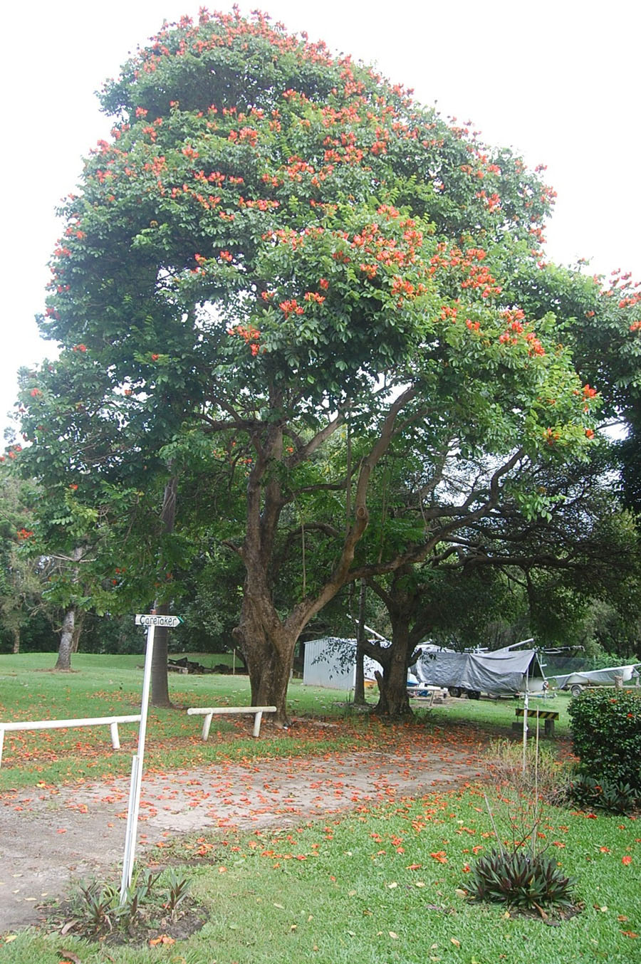 Aikido AUSTRALIA,AIKIDO Kenkyukai International, Fudoshin Dojo ...