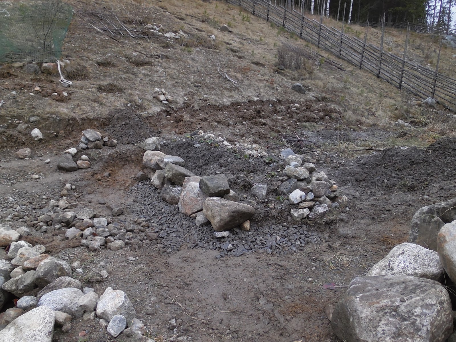 Katarinas trädgård : januari 2014