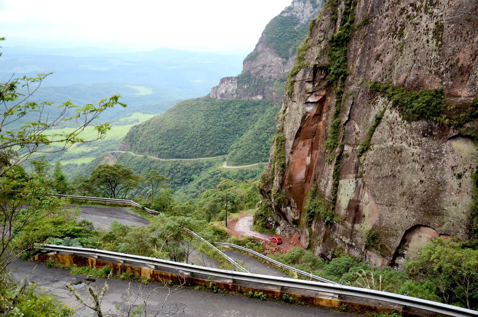 Expedições Fitogeográficas - Brasil e América do Sul: SERRA DO CORVO ...