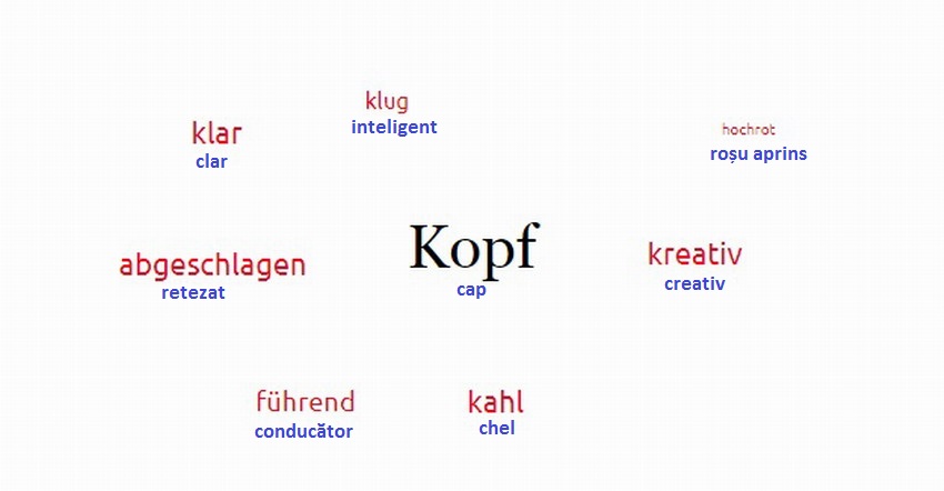 Deutsch für alle: Kopf