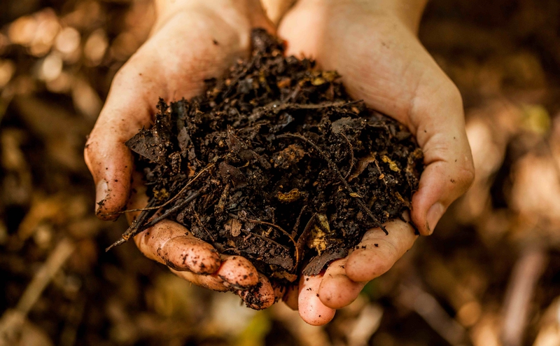 Cuidados no Preparo do Composto Orgânico