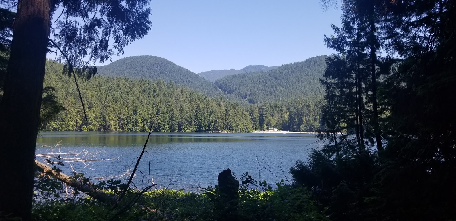 Sasamat Lake Loop & Swamp Haven - Port Moody BC, Canada - chichicho~