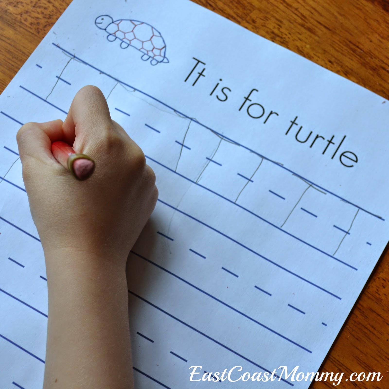 East Coast Mommy: Alphabet Crafts - Letter T