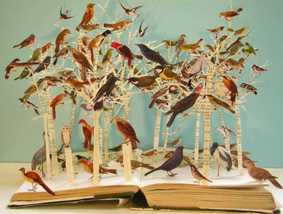 littlemiso . blog: Sue Blackwell