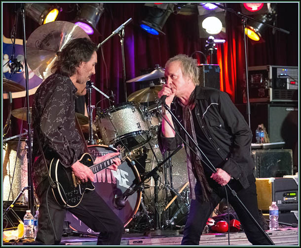 My Collections: Cactus