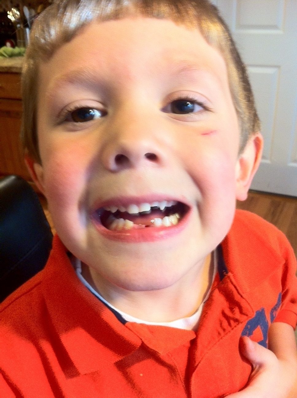 Flock of 3 Shepherds: Where Have I Been?